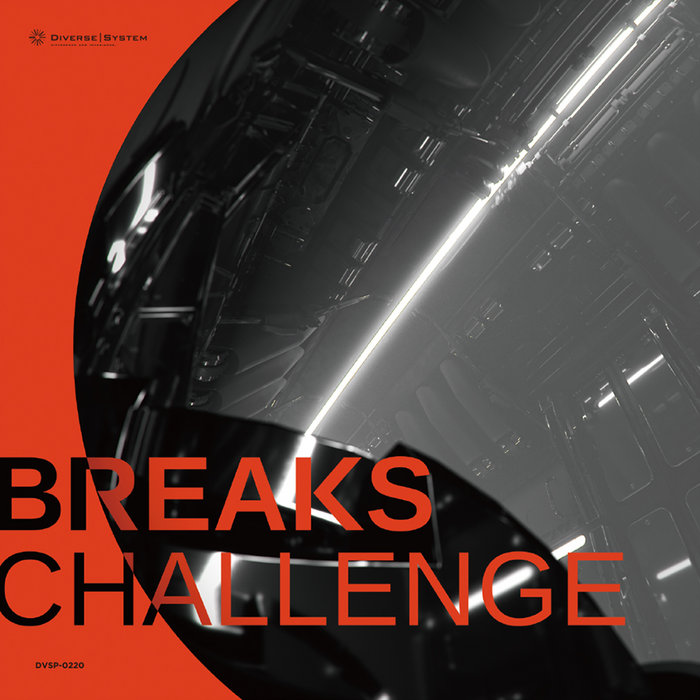 Breaks Challenge | Diverse System