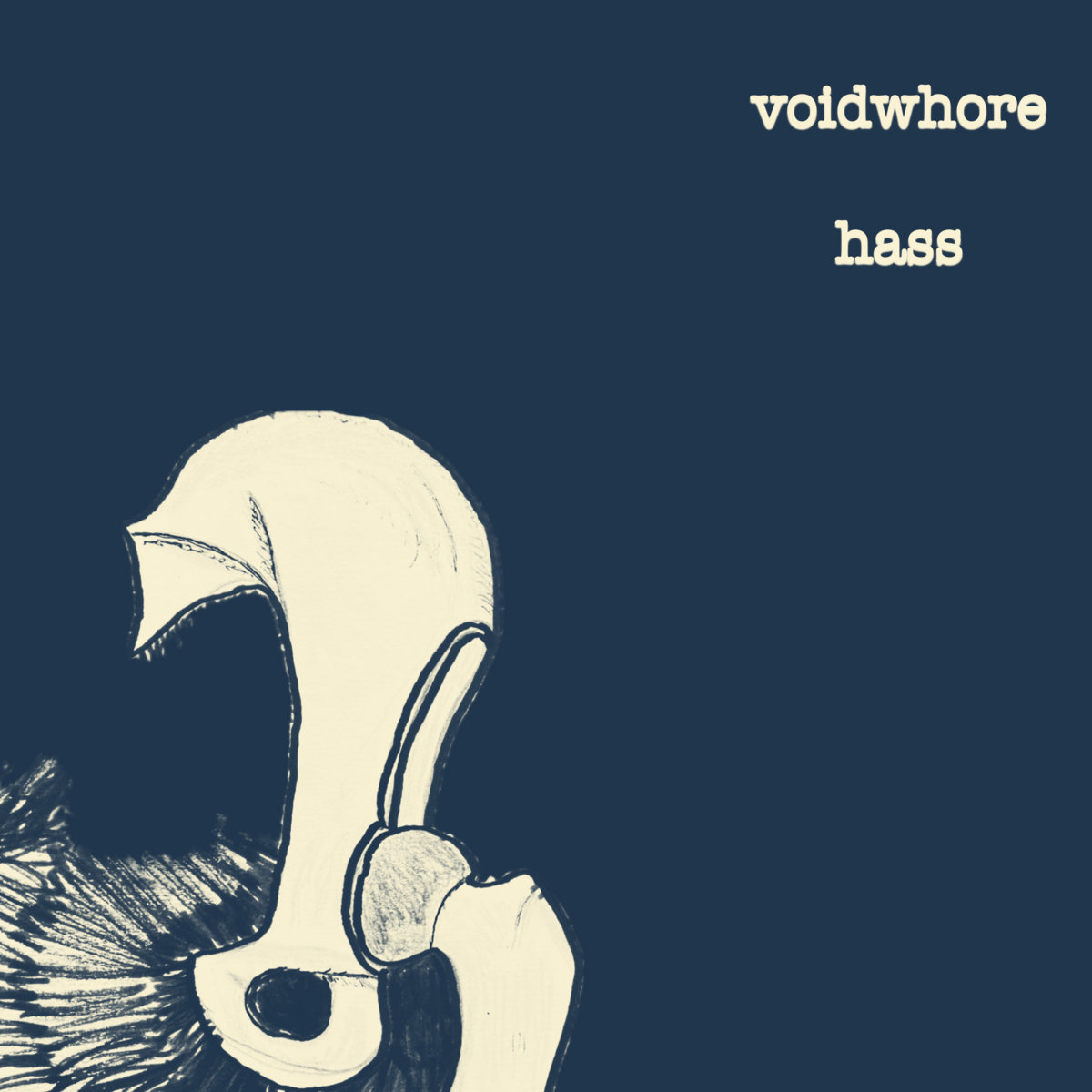 hass | voidwhore | Noisegrind Bastard Recordings
