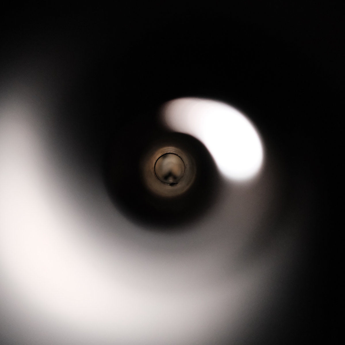 In The Dark | Linus Fung, Theresa Lam | Linus Fung