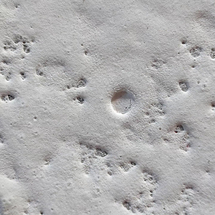 The return of Needle In Pain | Needle In Pain | Republica Iberica Ruidista