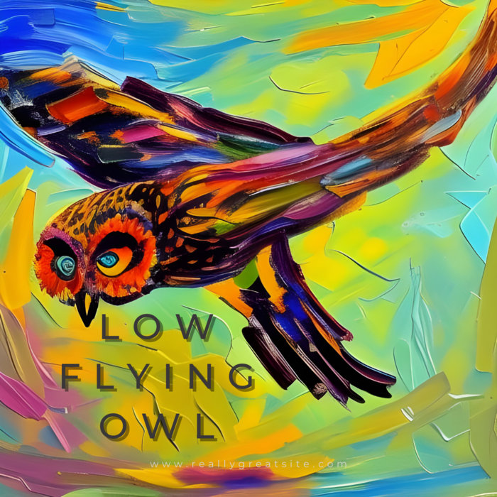 Low Flying Owl | Jeremy Cubert
