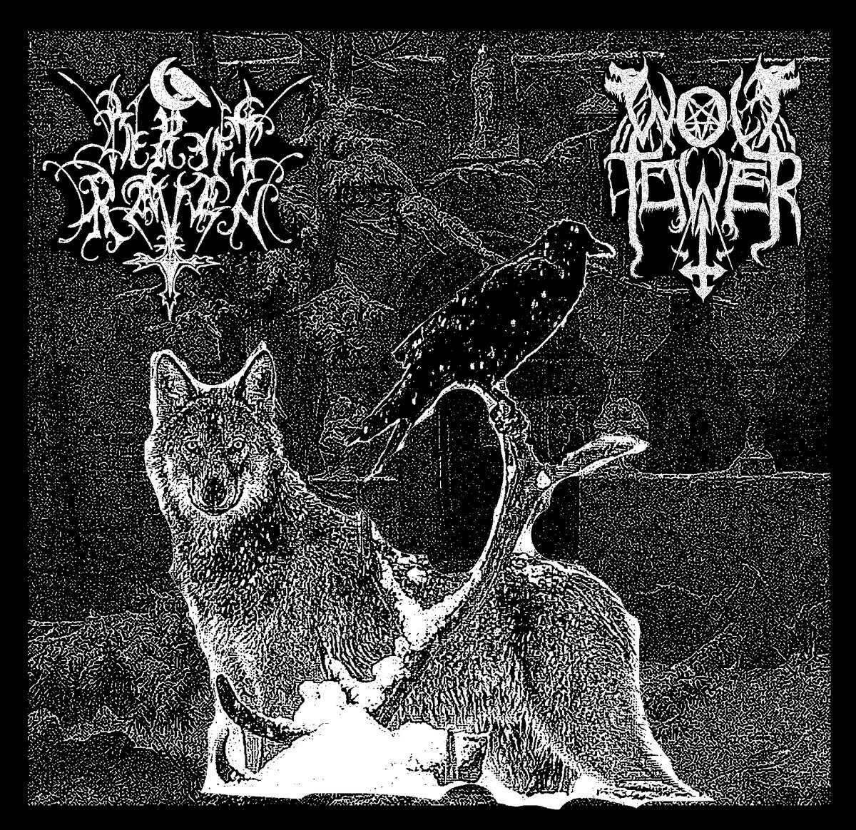 Wolftower/Bereft Raven Split | Wolftower