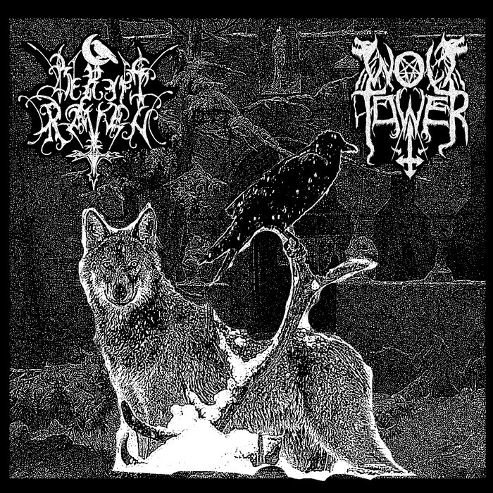 Wolftower/Bereft Raven Split | Wolftower