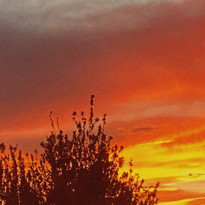 warped reality | Eggmin