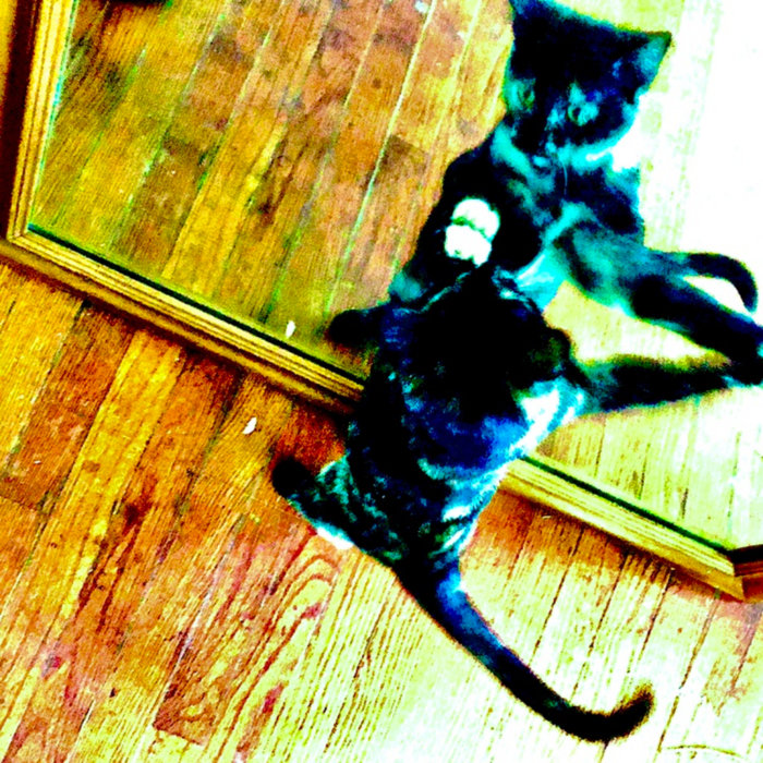 green scream | shullbit