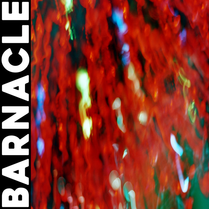 Such A Waste | Barnacle
