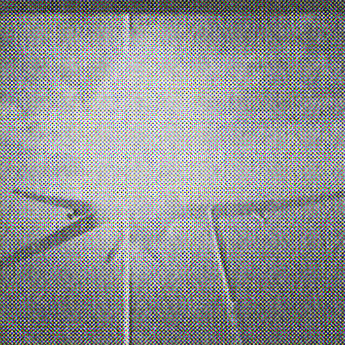 Cordoned-Off | dogs versus shadows