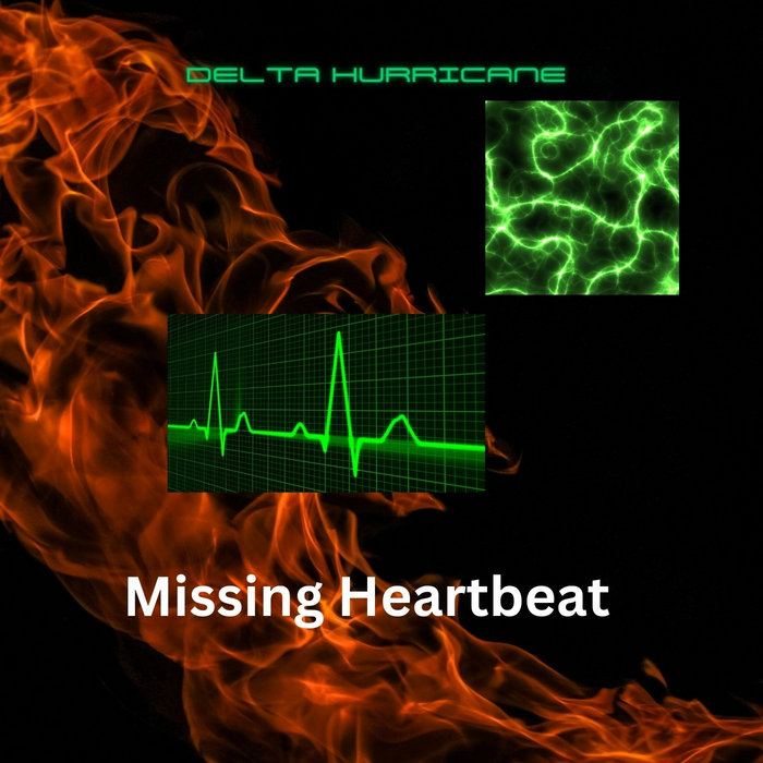 Missing Heartbeat Delta Hurricane