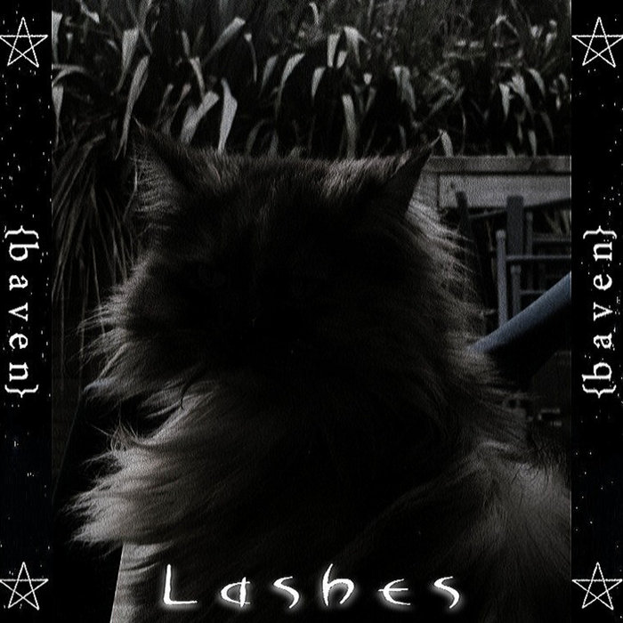 {LASHES} | {Baven}