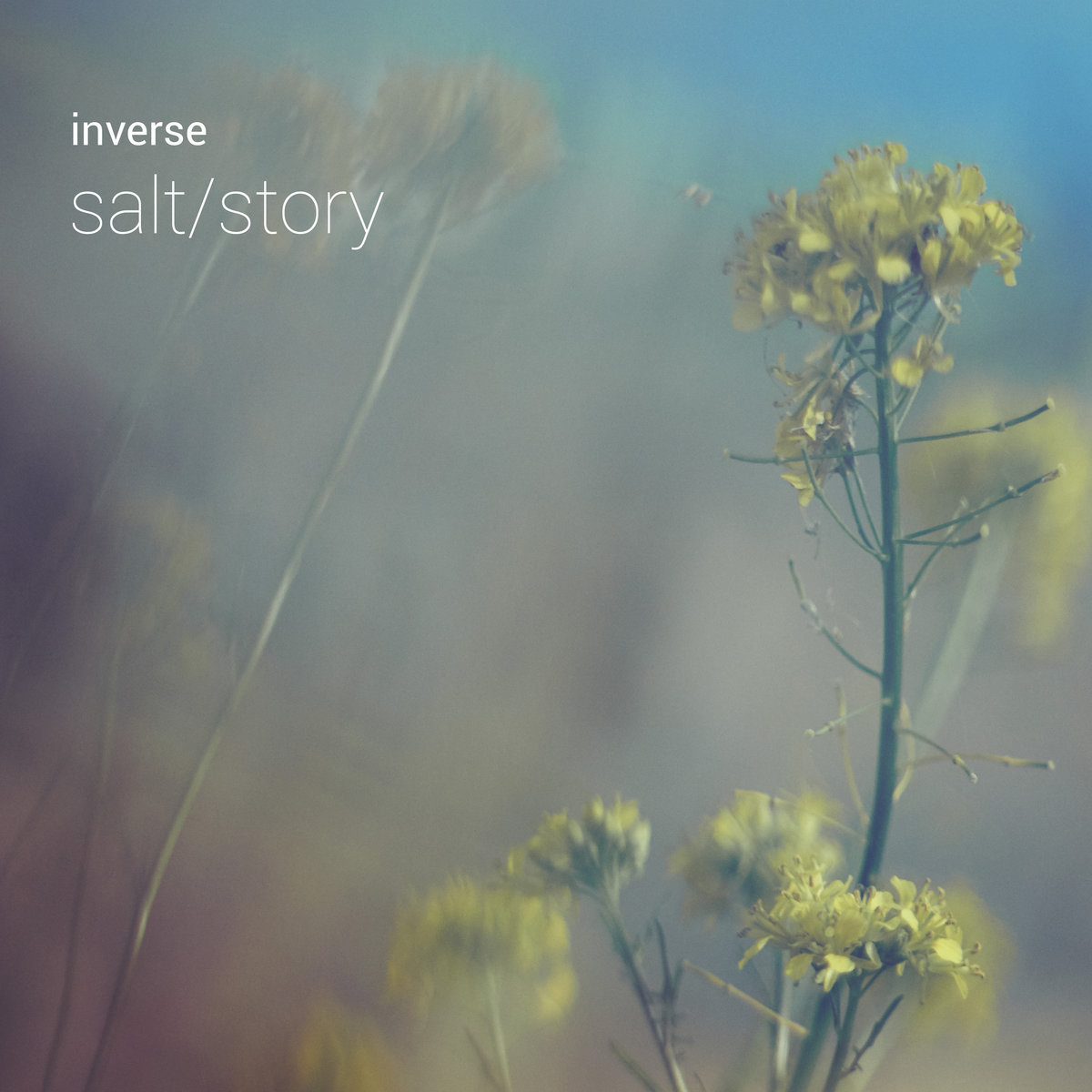Salt / Story | INVERSE