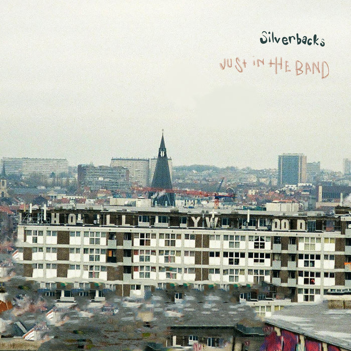 Just In The Band | Silverbacks