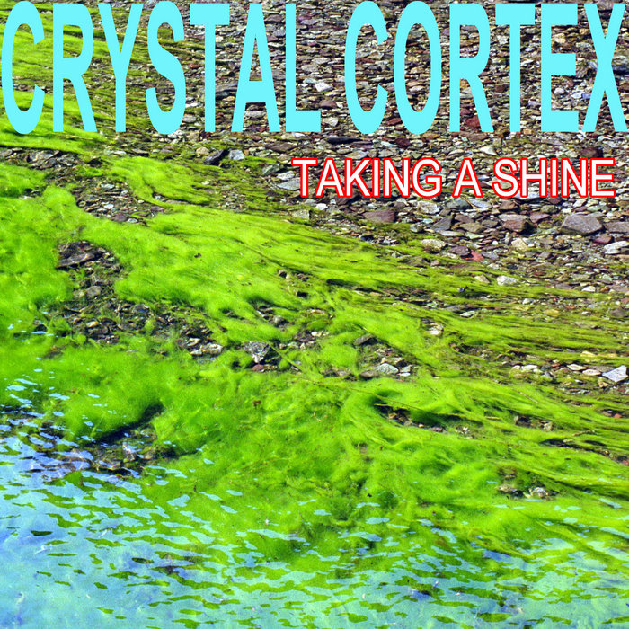 Taking a shine | Meinhardt Greeff