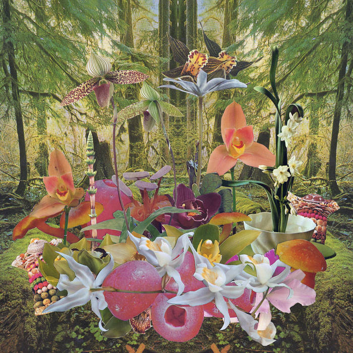 Return to Paradise | Monster Rally