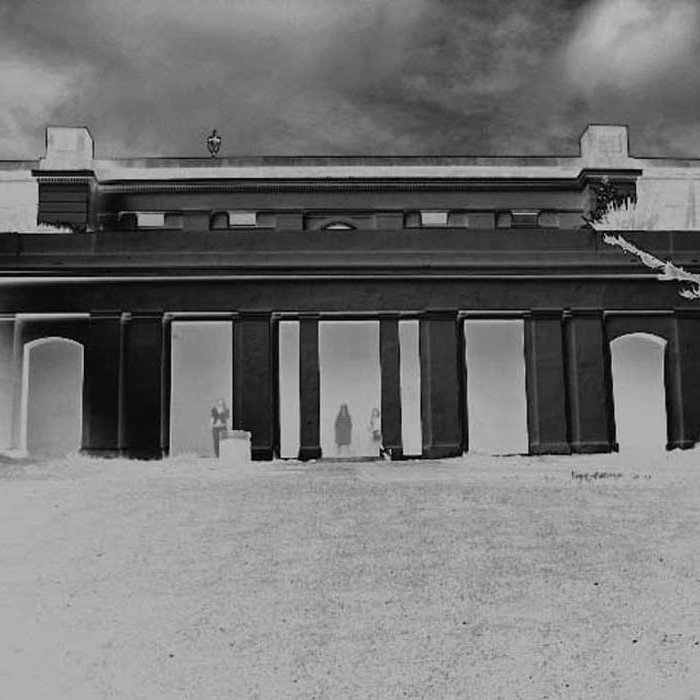 Reading Rooms | Wild Singing Collective