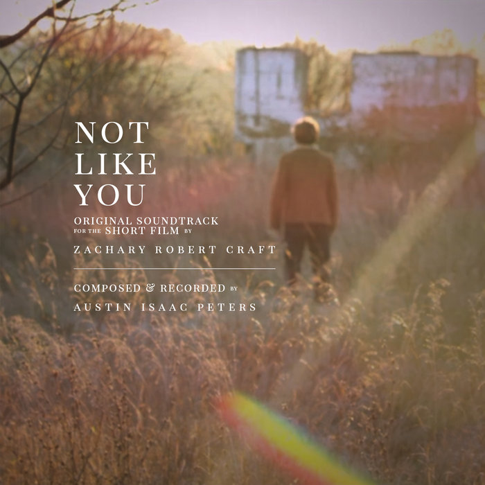 Not Like You - Original Soundtrack | Austin Isaac Peters | Not Like You