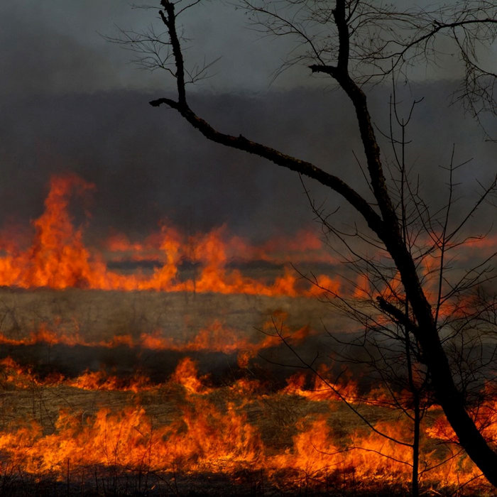 The Road | Henry Hopf