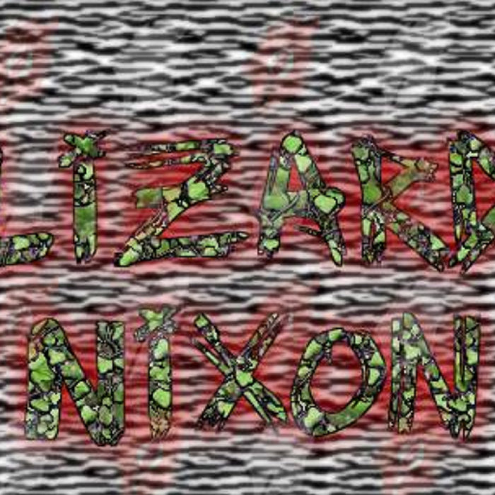 Demo | Lizard Nixon