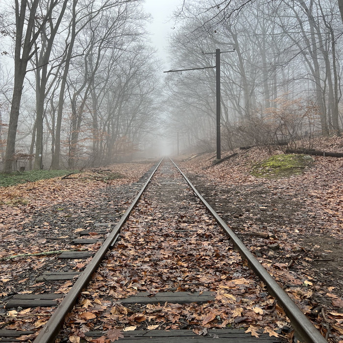 Blow The Light Green | Jeff Lohr