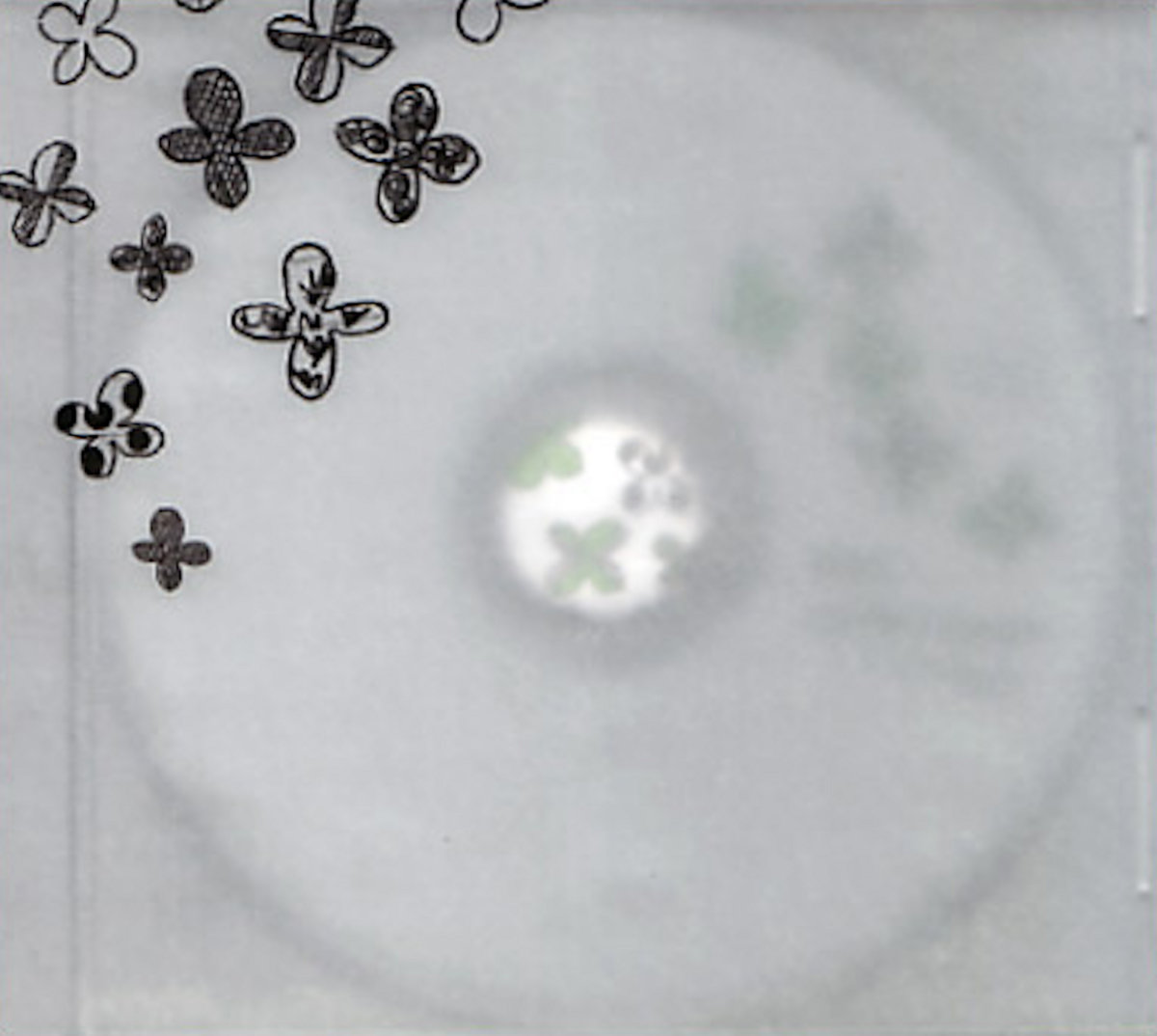 pocket songs | stina