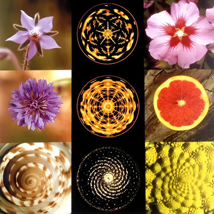 Geometry of GOD | Markus Bonten