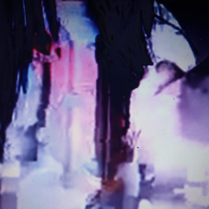 Hive Mind: Bee Sides and Outtakes | The Enhancer