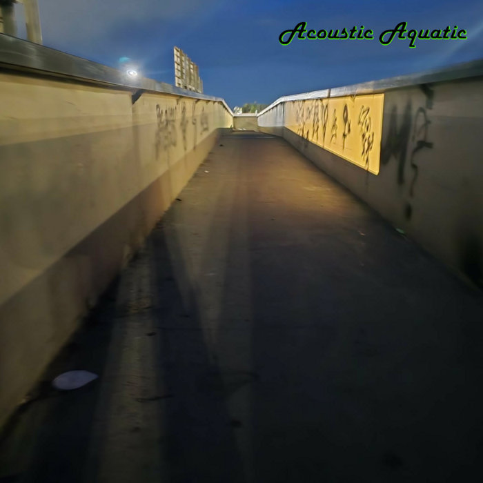 Shit Even Ripley Wouldn't Believe SINGLE | Acoustic Aquatic.
