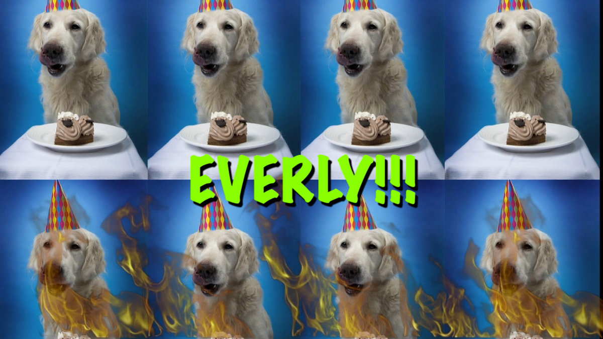 HAPPY BIRTHDAY EVERLY! | Epic Happy Birthdays