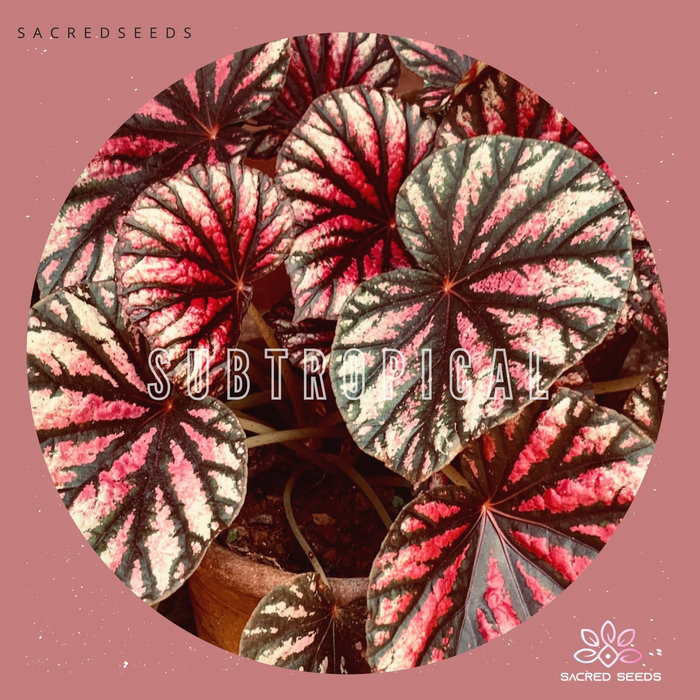 Sacred Seeds - Subtropical | Sacred Seeds