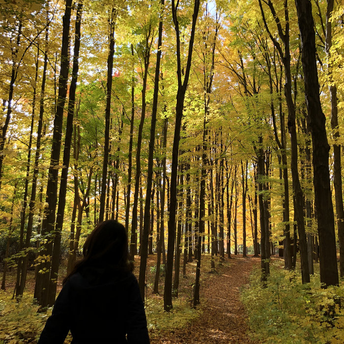 Born to Fly | Benjamin Teague