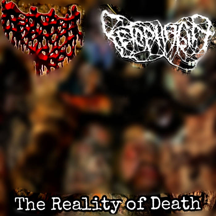 The Reality of Death | DxBxAxIxRxHxFx / Fetophagia | Degenerates Boiled ...