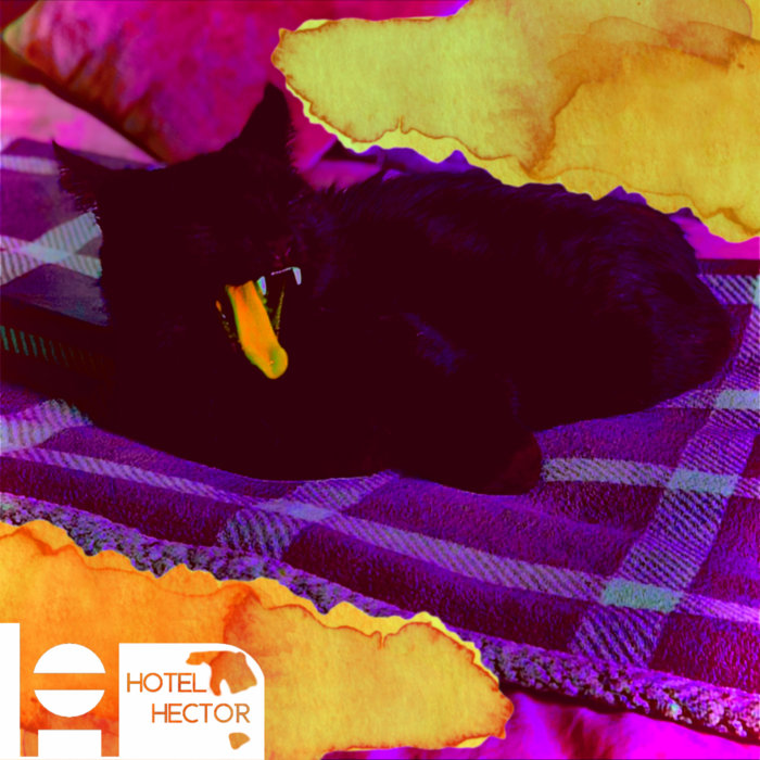 Annabelle | Hotel Hector