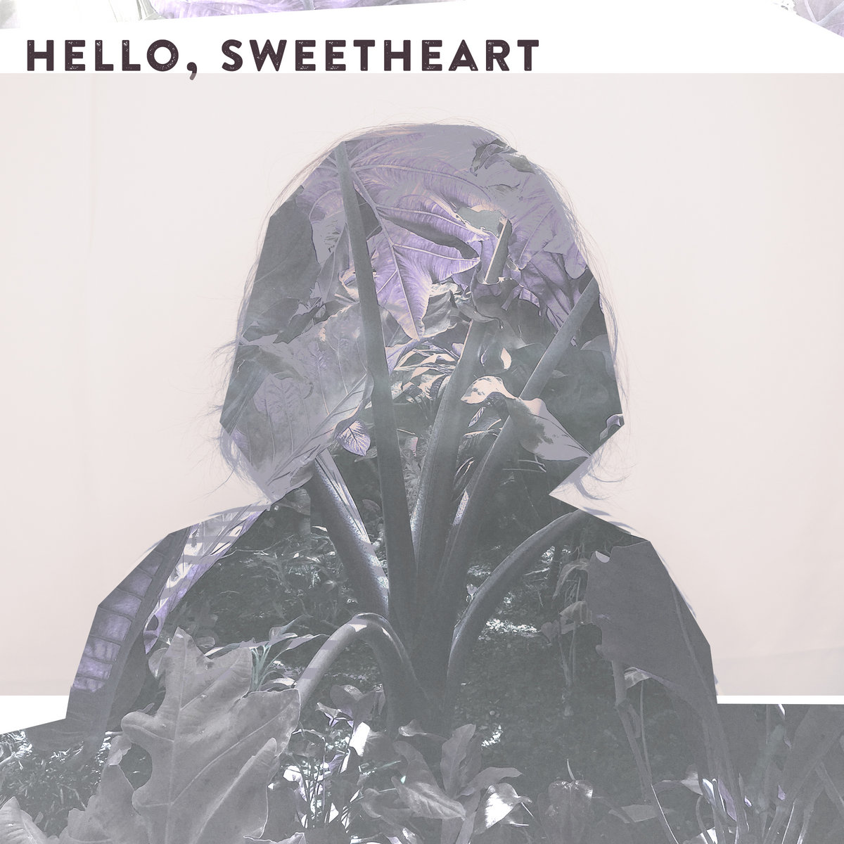 Hello, Sweetheart | Jackie-