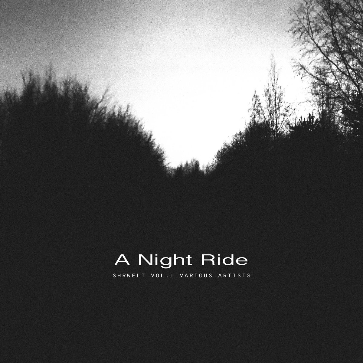 VARIOUS ARTISTS - A Night Ride | VARIOUS ARTISTS | Skithund Records