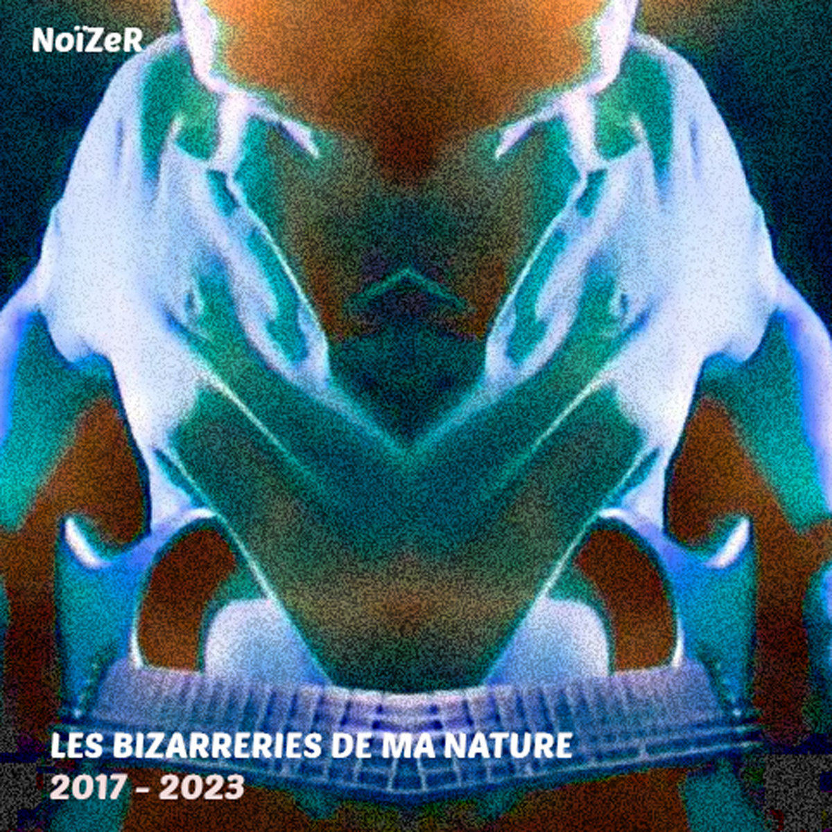 Les bizarreries de ma nature | Noïzer ( Pascal Terencio ) | Noïzer