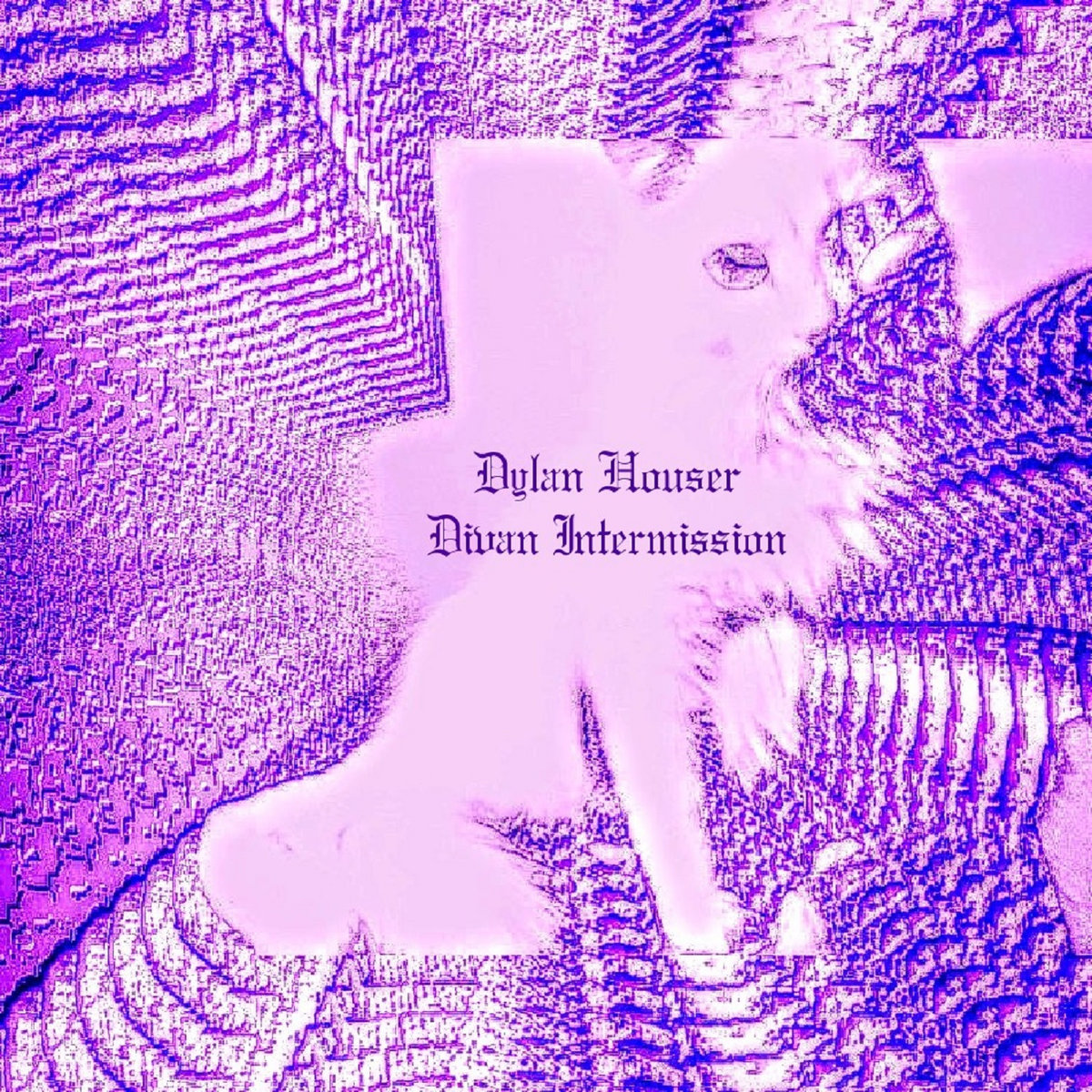 Divan Intermission | Dylan Houser