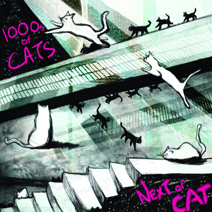 Next of Cat | 1000s of cats