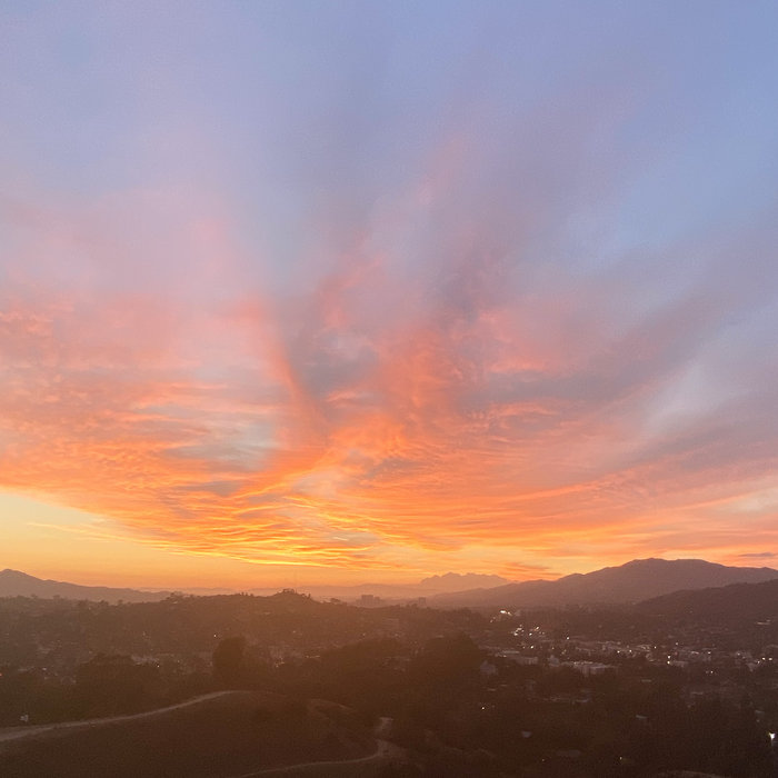 Intrepid | Mr. River