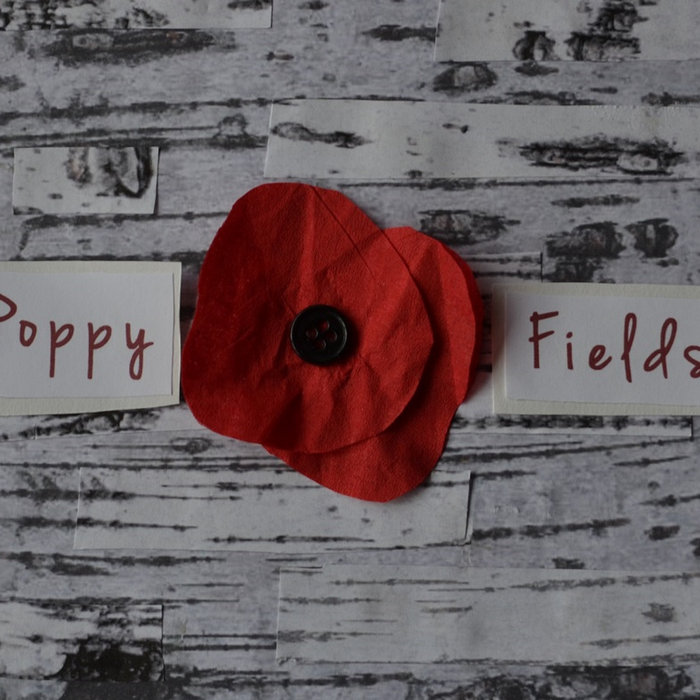 Eleven Minutes & Ten Seconds | Poppy Fields