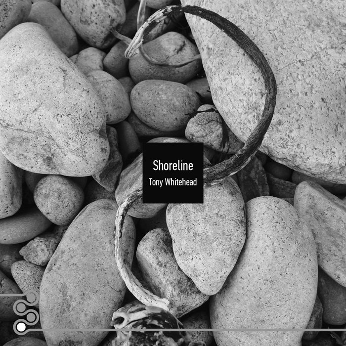 Shoreline | Tony Whitehead | Plus Timbre