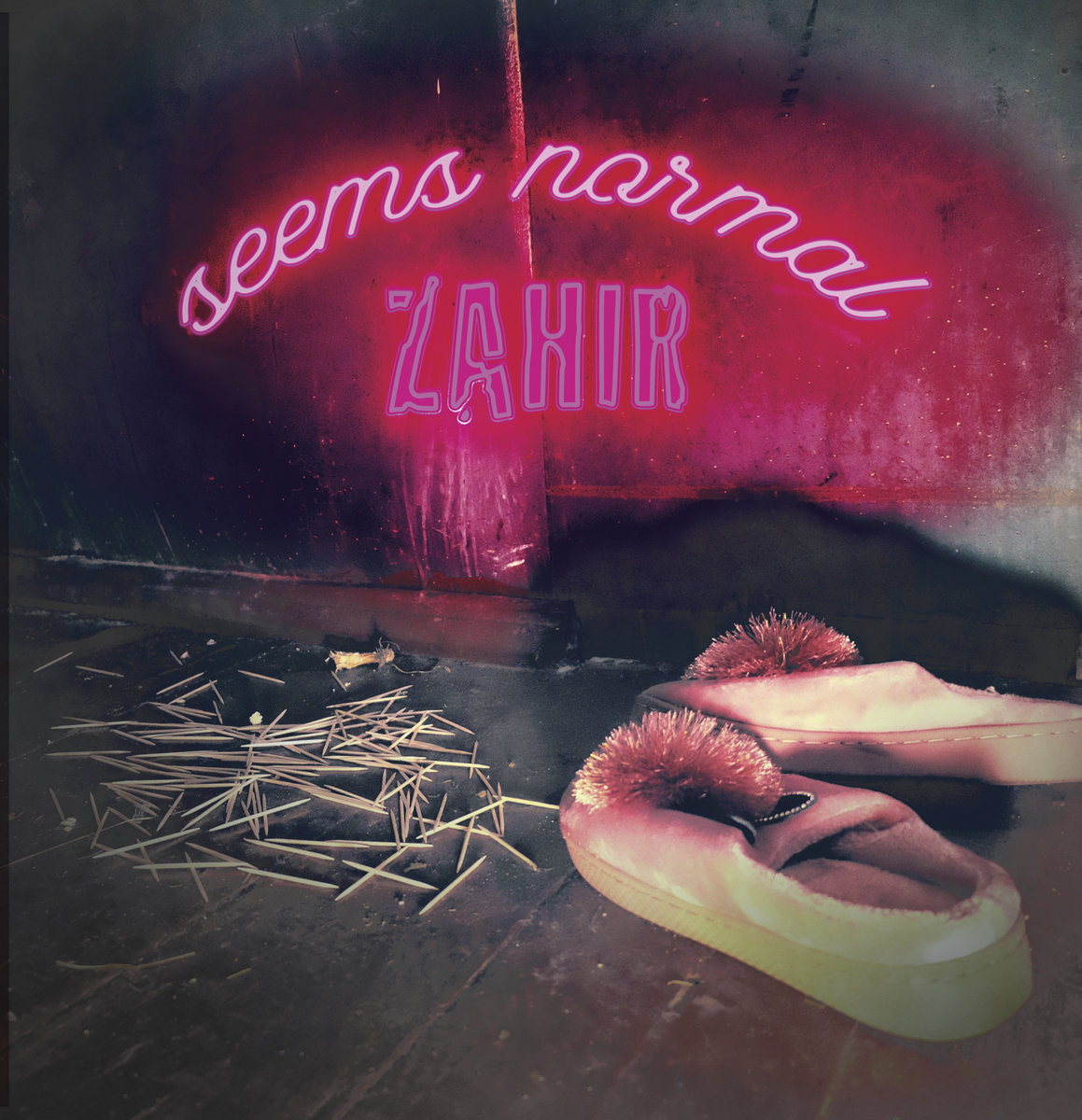 Seems Normal | Zahir