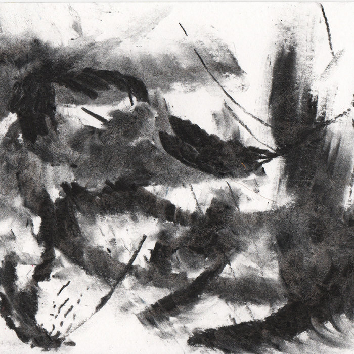 #2 | Conatus | conatus