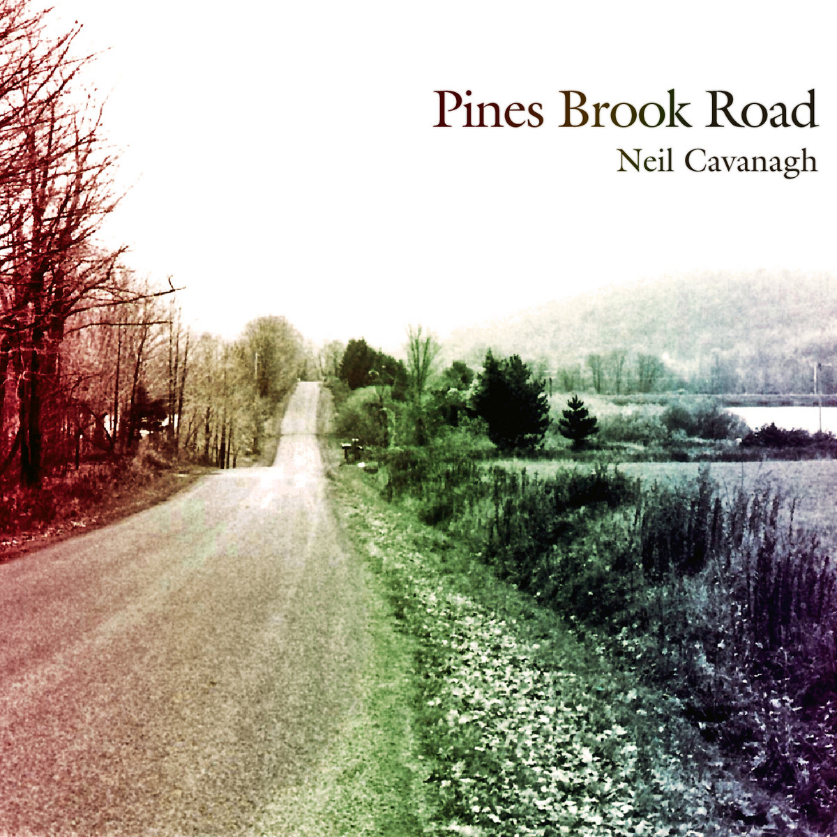 Pines Brook Road | Neil Cavanagh