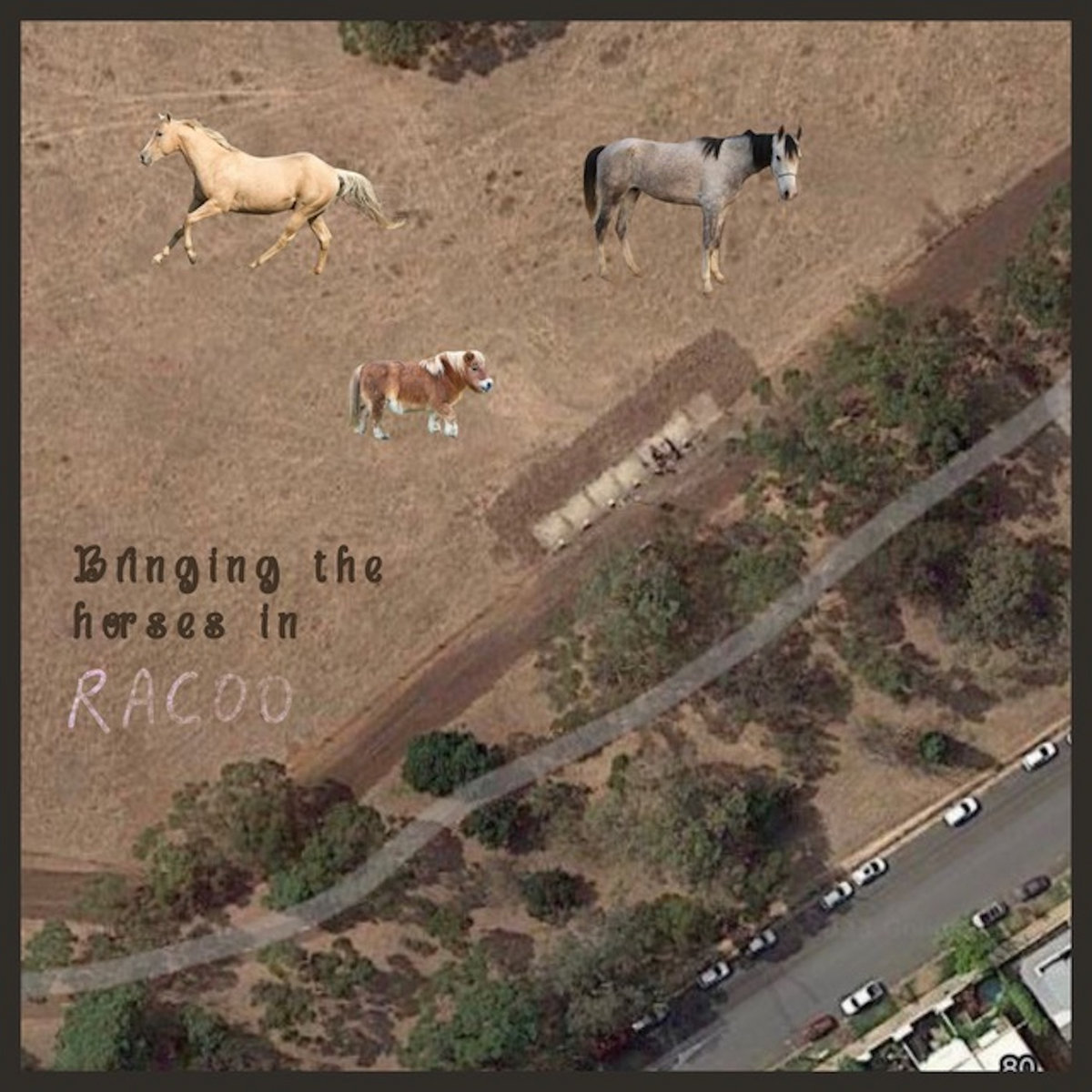Racoo - Bringing The Horses In | Racoo | Milestone Records