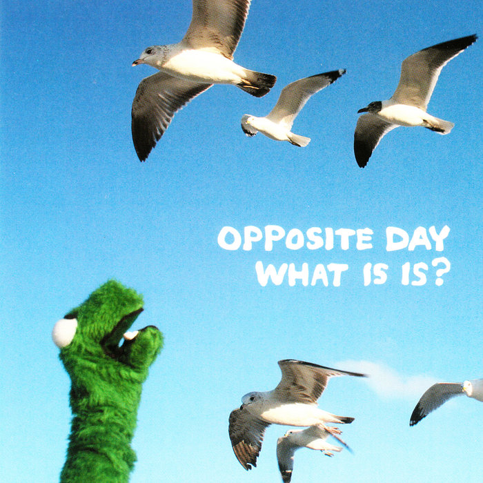 What is Is? | Opposite Day