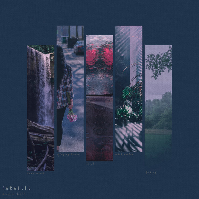 Parallel | Maple Hill