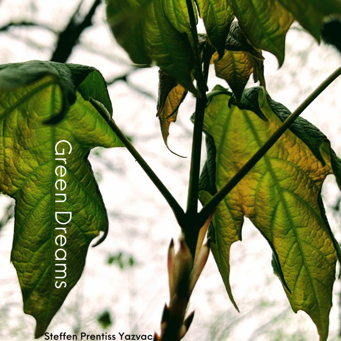 Green Dreams | Steffen Prentiss Yazvac