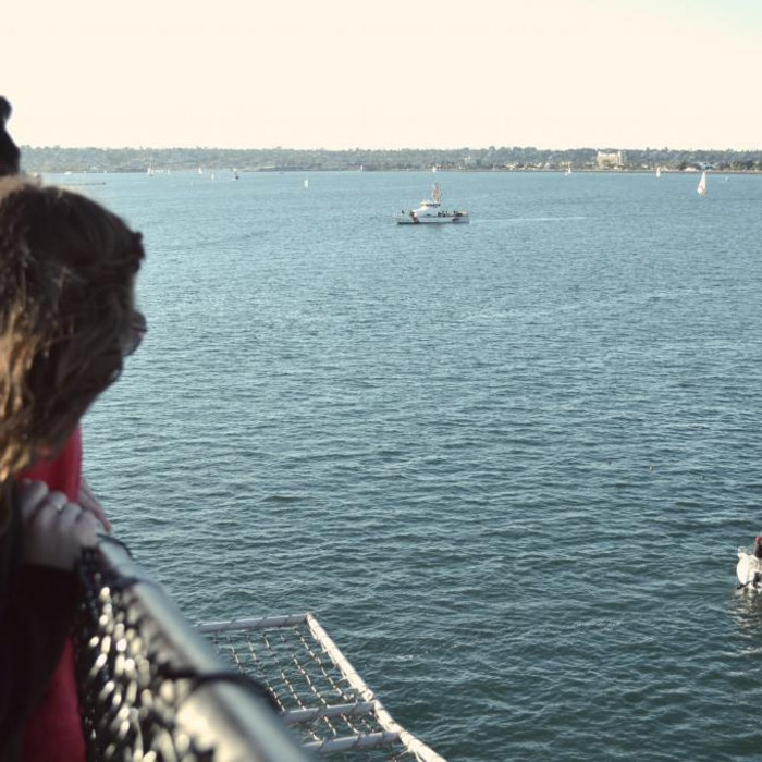 Summer Air | Mitchell Leighton Ching