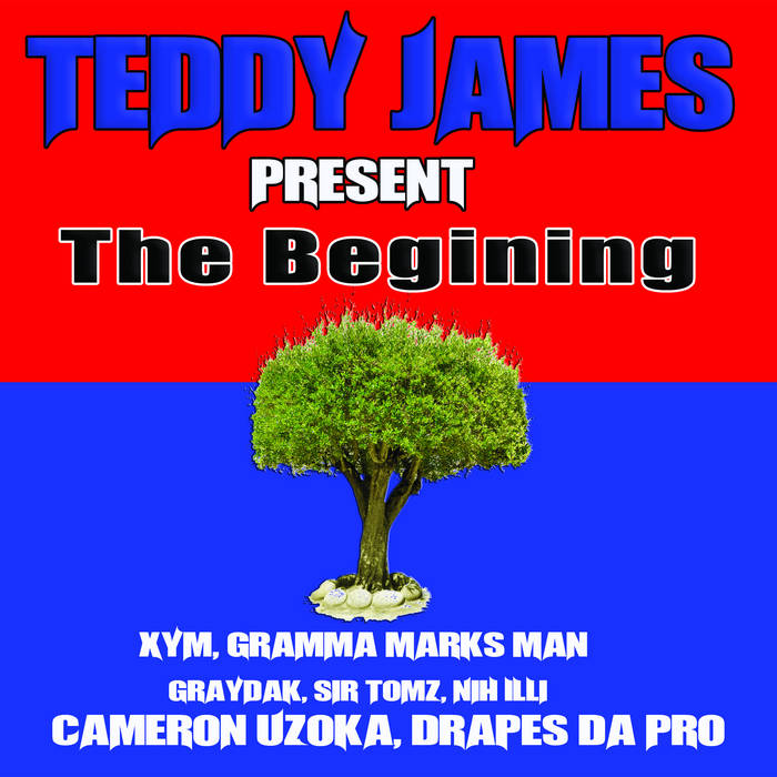 THE BEGINNING | Teddy James