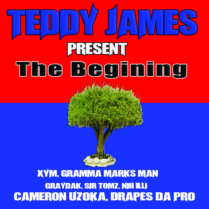 THE BEGINNING | Teddy James