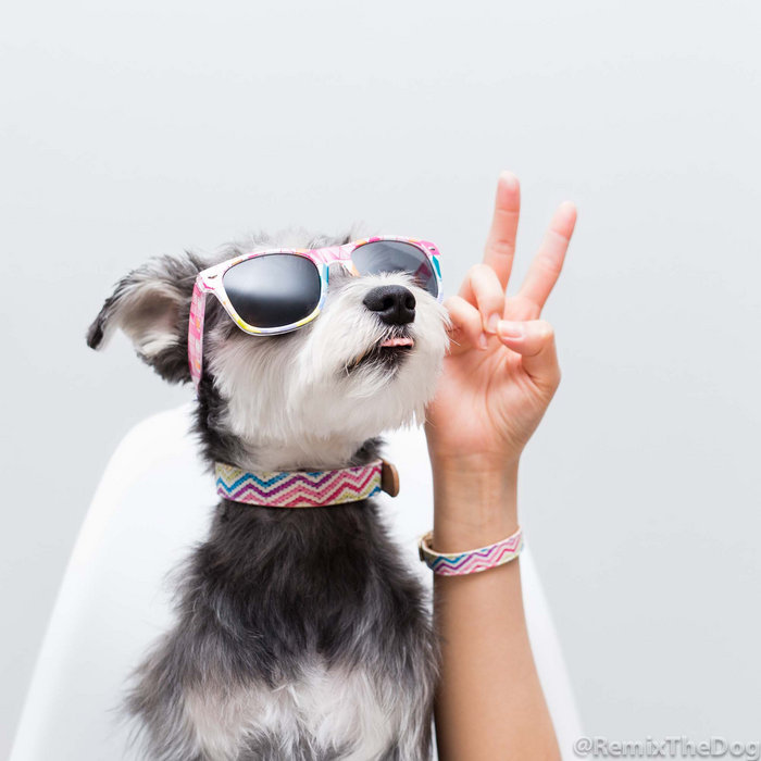 Doing A Very Cool | Heckin Doggo